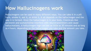 Hallucinogens | PDF