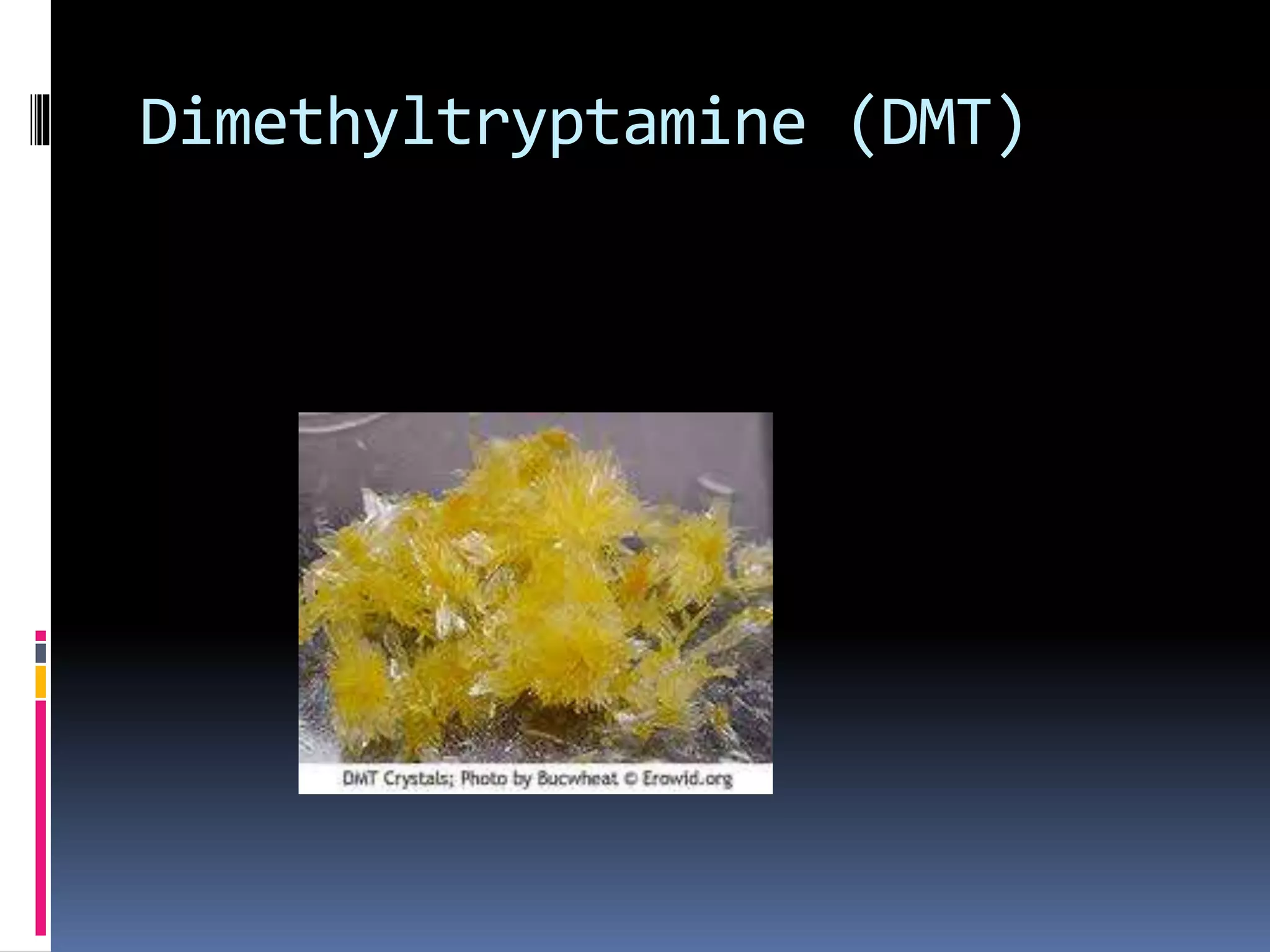 Hallucinogens | PPTX