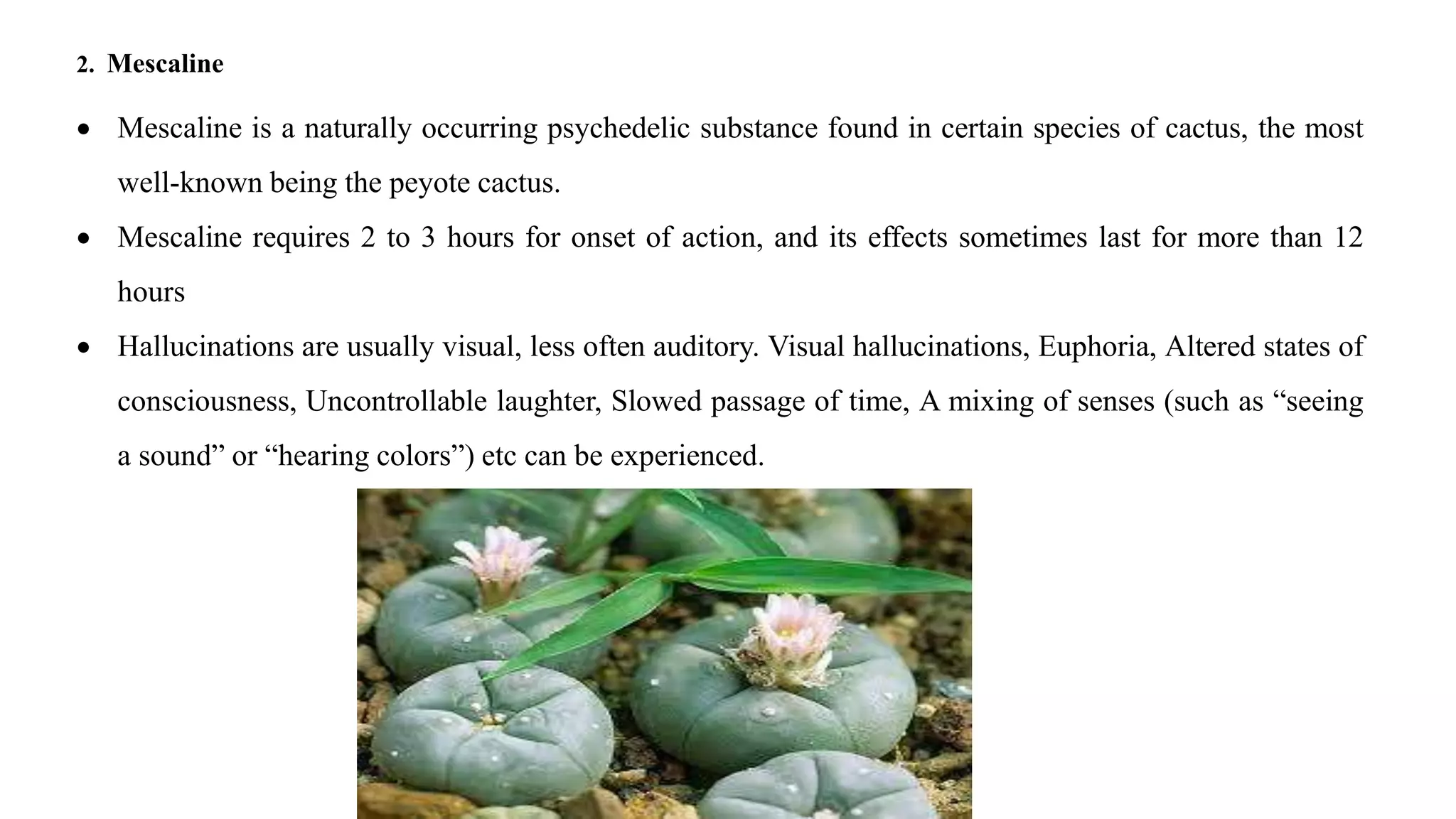 HALLUCINOGENS-PPT.pptx