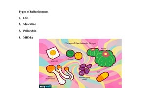 HALLUCINOGENS-PPT.pptx