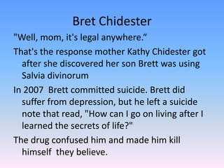 Hallucinogens By Haley Moren And Jacqueline Hundt | PPTX