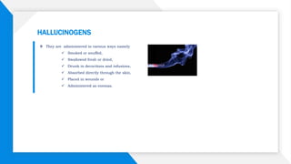 Hallucinogens, teratogens, natural allergens | PPTX