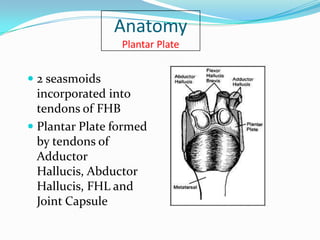 Hallux valgus UG lecture | PPTX