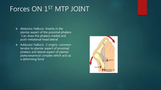 Hallux valgus - Practical approach and recent advances | PPTX