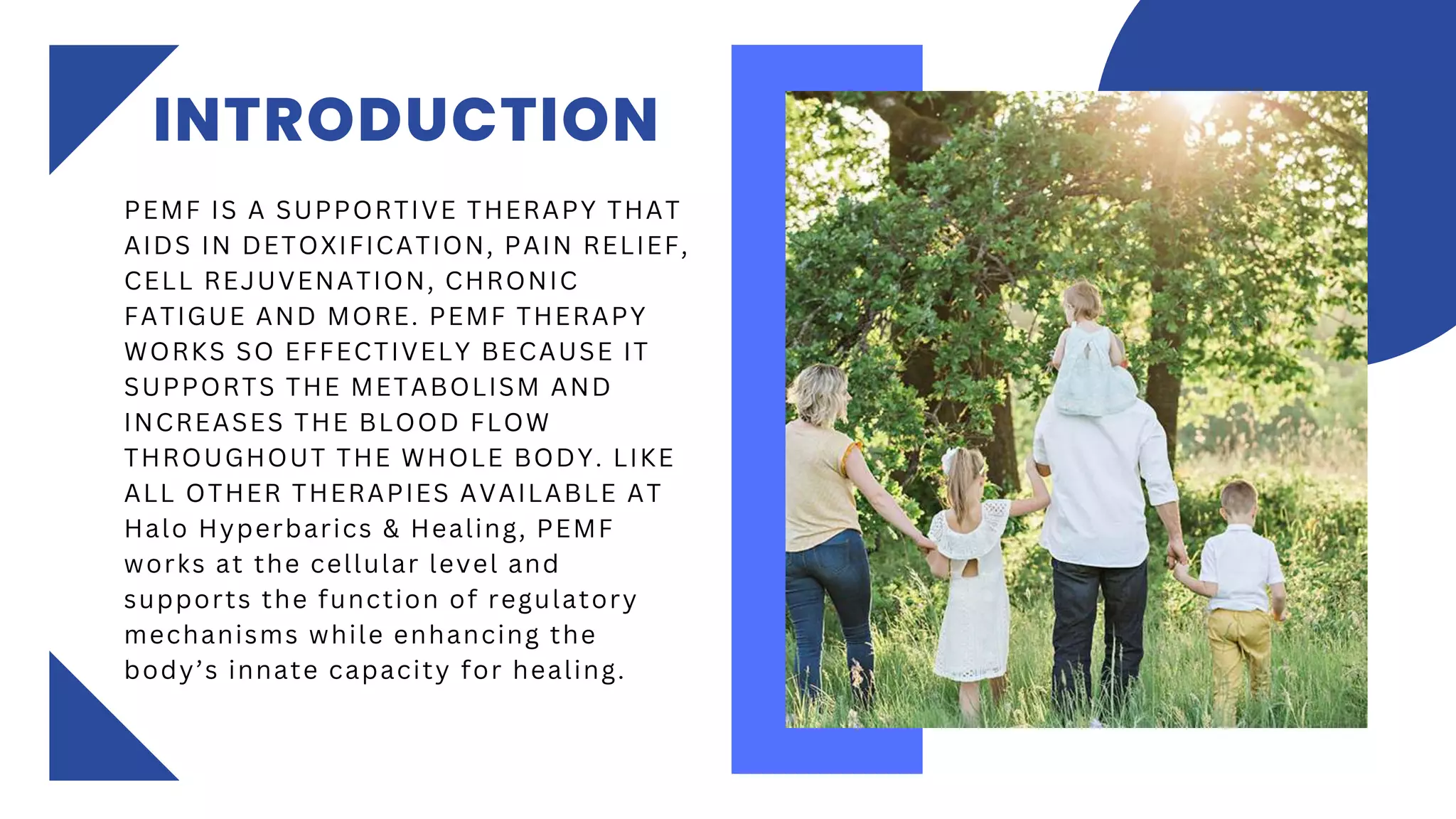 Halo - PEMF Therapy Bend.pptx