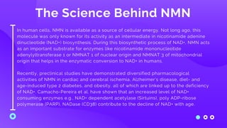 Halo1618 authentic nmn by sinclair laboratories | PPT