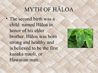 Haloa | PPT