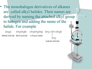 Haloalkane and haloarenes(ppt-2024-25).ppt