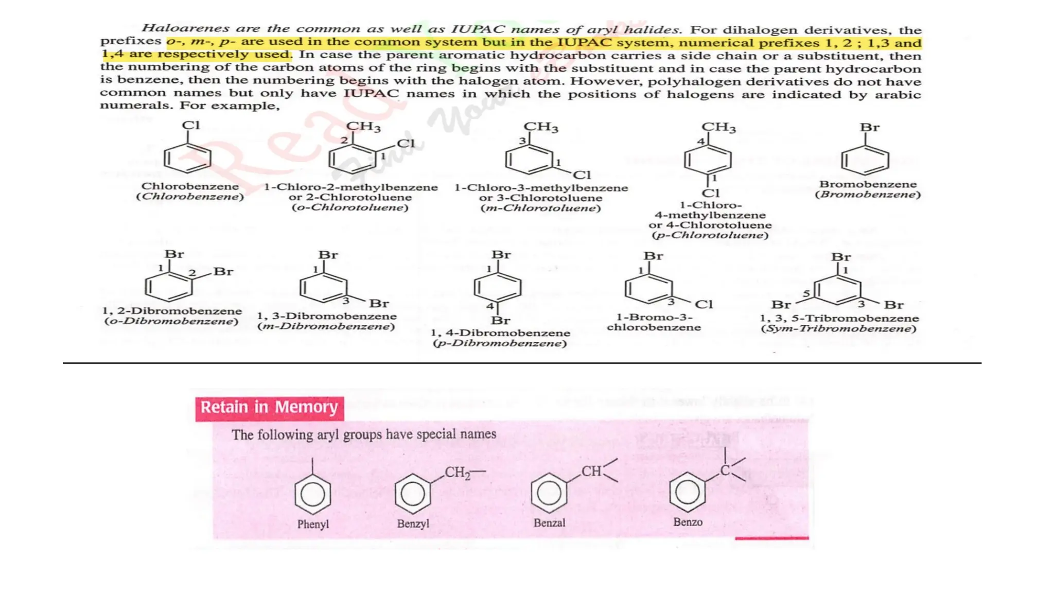 HALOALKANES & HALOARENES.pppppppppppppppppppppppptx | PPTX