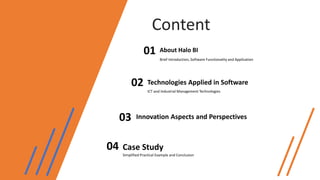 Halo BI Software Overview by Jitesh Shashtri | PPTX