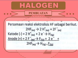Halogen | PPTX
