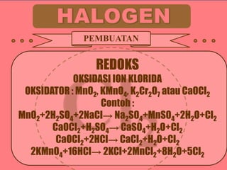 Halogen | PPTX