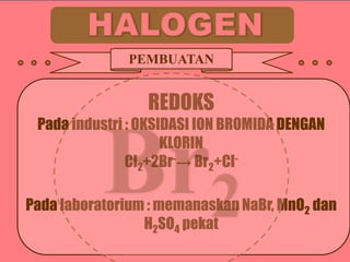 Halogen | PPTX