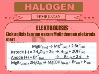 Halogen | PPTX