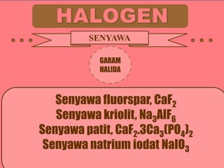 Halogen | PPTX
