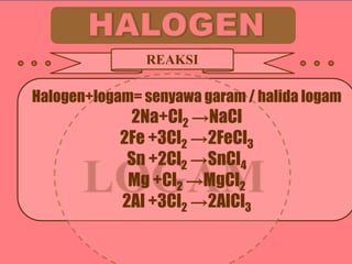 Halogen | PPTX