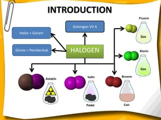 Halogen | PPT