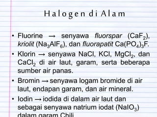 Unsur Halogen | PPT