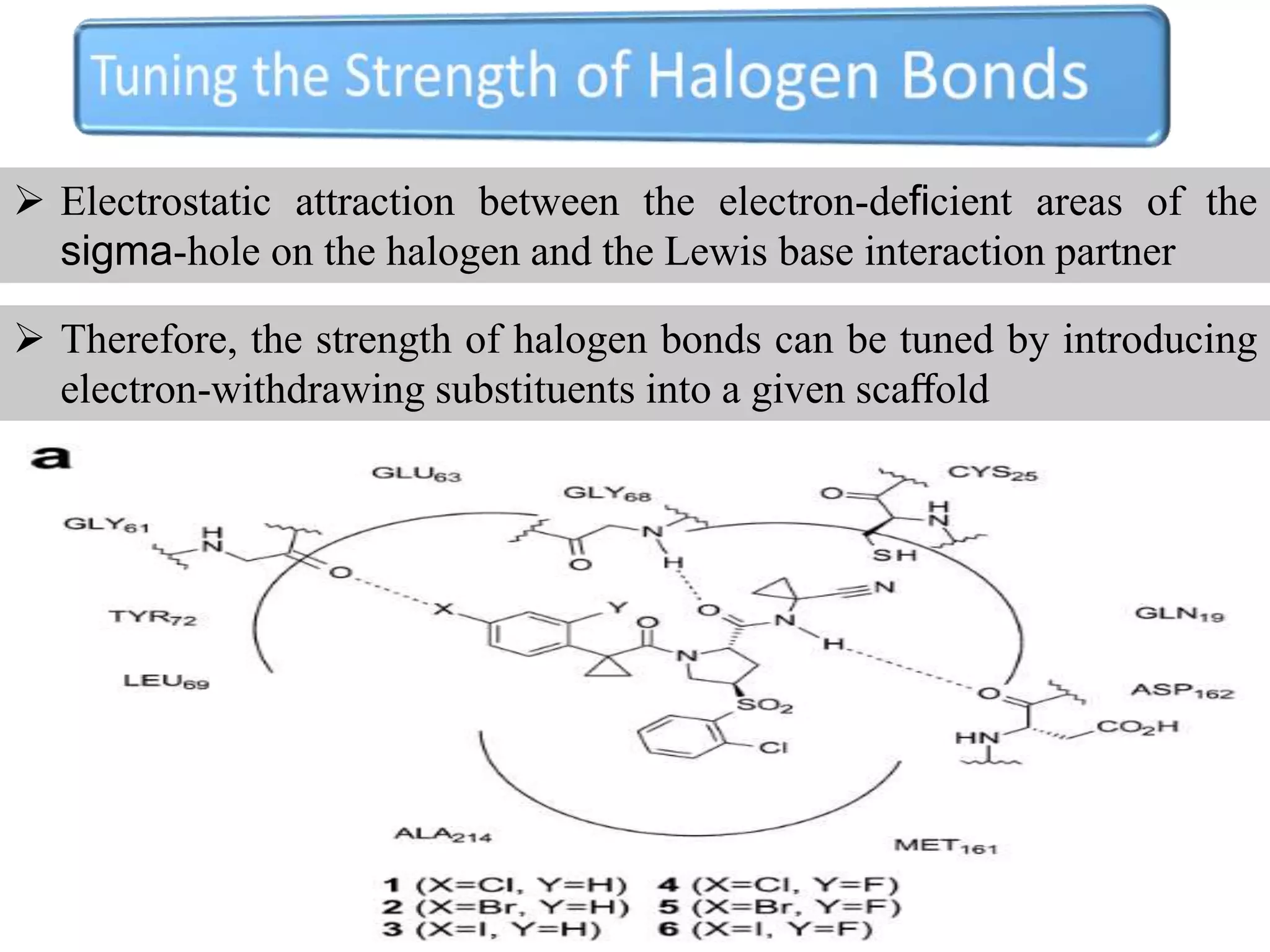 Halogen bonding | PPTX