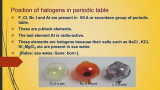Halogen compounds.pptx