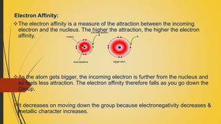 Halogen compounds.pptx