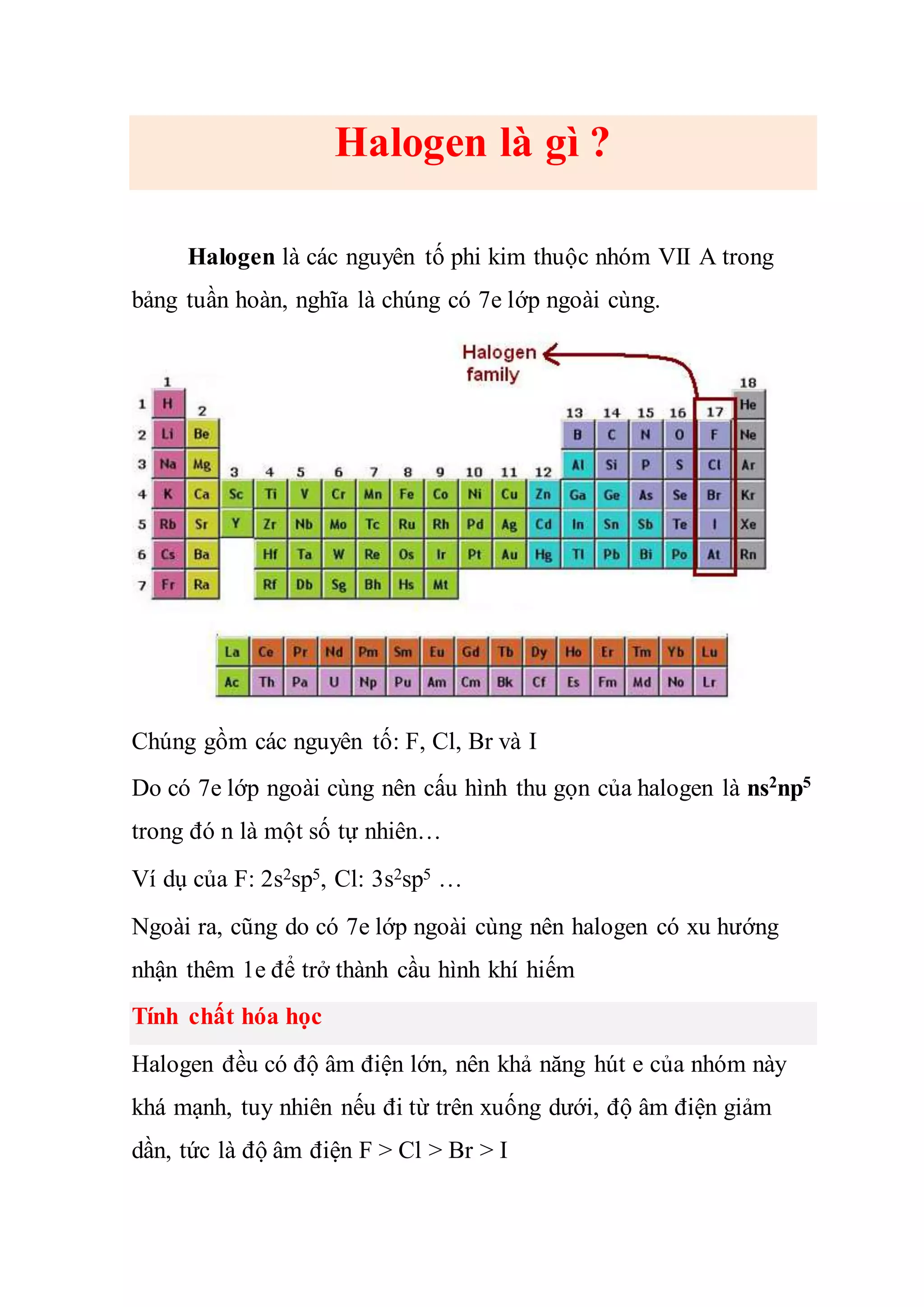 Halogen là gì | DOCX