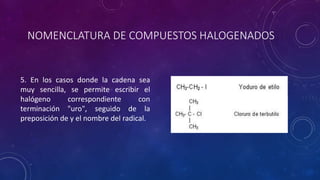 Halogenos | PPTX