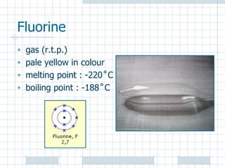 Halogens and Noble gases | PPT
