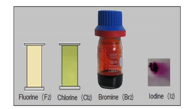 Halogens class 11 chemistry note by Bimochan | PDF | Chemistry | Science
