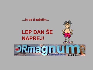 Haloo- Drmagnum | PPT