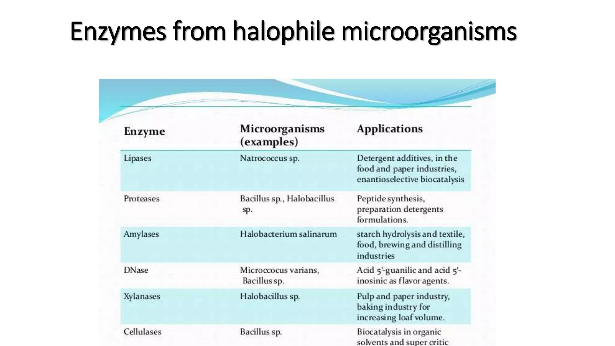 Halophiles (Introduction, Adaptations, Applications) | PPTX