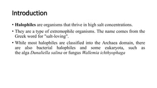 Halophiles (Introduction, Adaptations, Applications) | PPTX