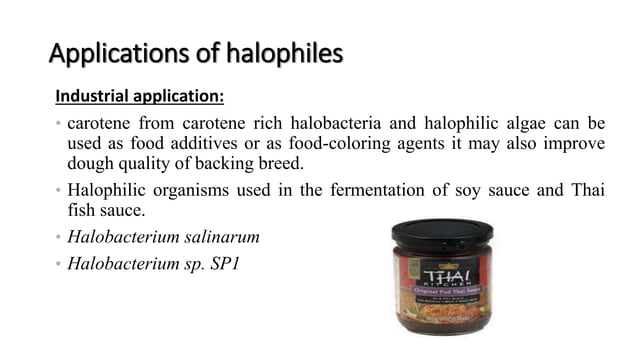 Halophiles (Introduction, Adaptations, Applications) | PPTX