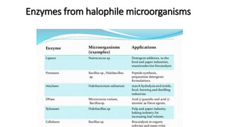 Halophiles_examples