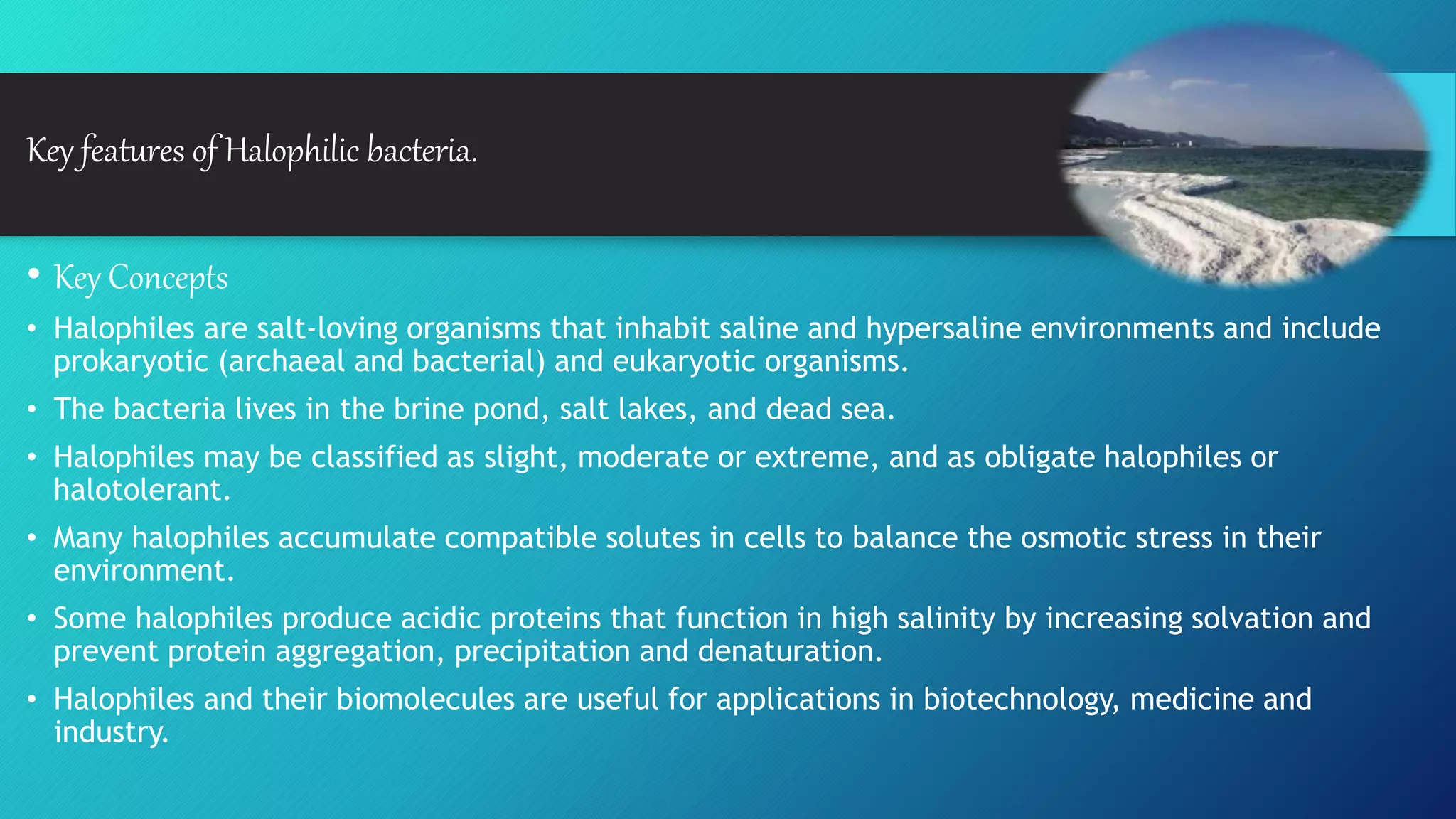 Halophiles | PPTX | Chemistry | Science