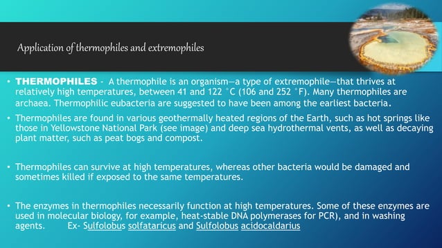 Halophiles | PPTX | Chemistry | Science