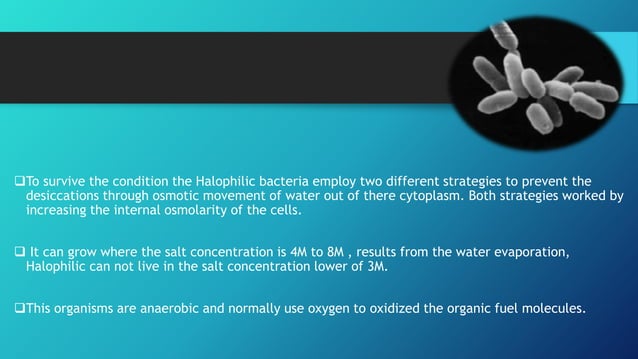 Halophiles | PPTX | Chemistry | Science