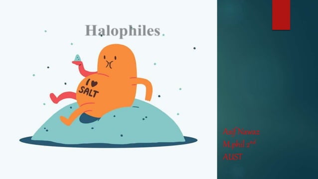 Halophiles their systemm and applications | PPTX | Geography | Science