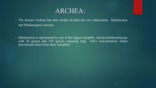 Halophiles their systemm and applications | PPTX | Geography | Science