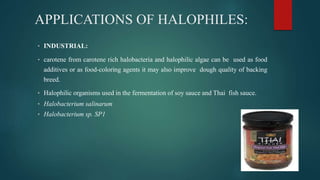Halophiles their systemm and applications | PPTX | Geography | Science