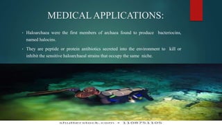 Halophiles their systemm and applications | PPTX | Geography | Science
