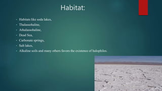 Halophiles their systemm and applications | PPTX | Geography | Science