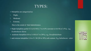 Halophiles their systemm and applications | PPTX | Geography | Science