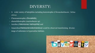 Halophiles their systemm and applications | PPTX | Geography | Science