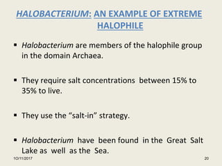 Halophiles_examples