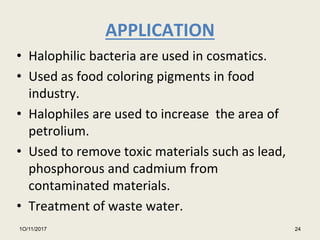 Halophilic Bacteria