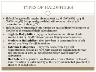 Halophile sfinal.pptx