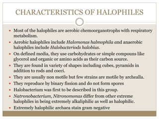 Halophile sfinal.pptx