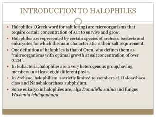 Halophile sfinal.pptx | Biological Sciences | Science