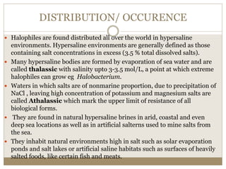 Halophile sfinal.pptx